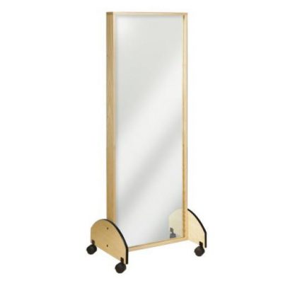 Clinton Mobile Adult Posture Mirror – Meridian | Medline Capital Quote